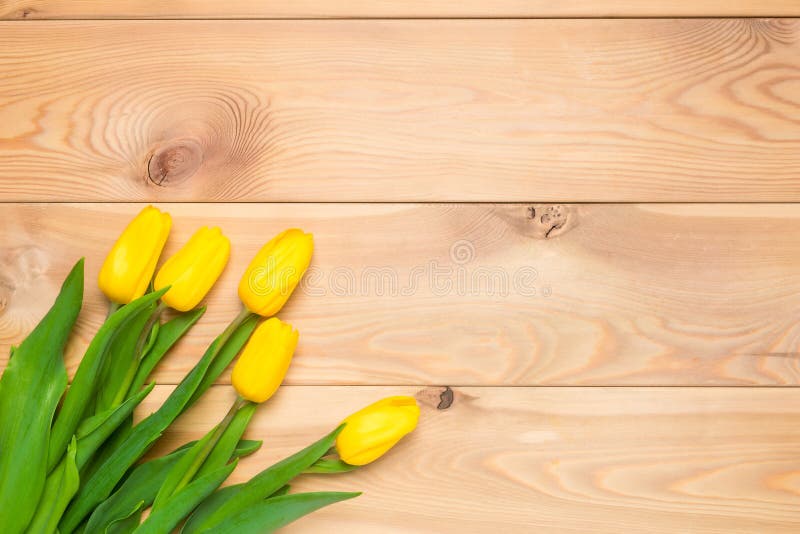 Five Yellow Tulips on Wooden Boards Stock Photo - Image of bunch ...