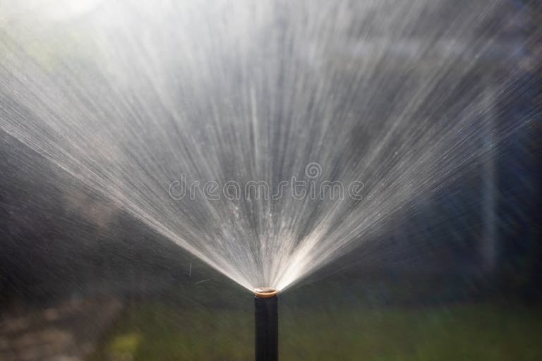 Fixed Spray Head Sprinkler Watering in Backyard Stock Photo - Image of ...