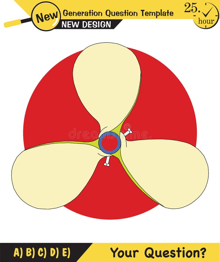 Physics, Simple Machines, Inclined Plane, Spinning Wheel, Pulleys, Next ...