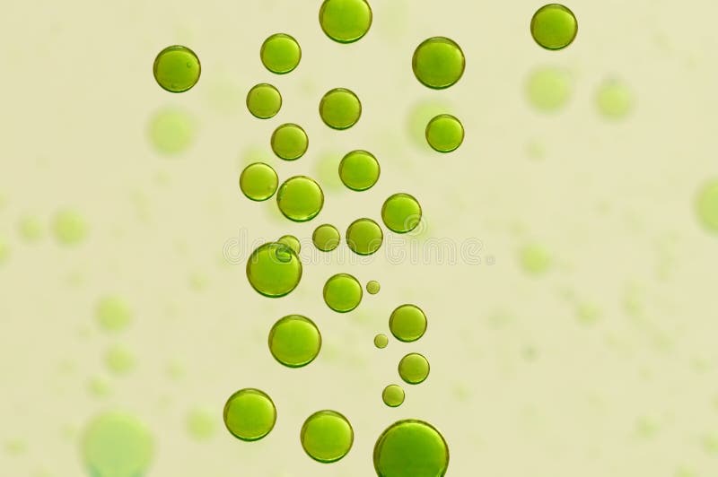 Fizz stock image. Image of flowing, mixing, background - 68887645