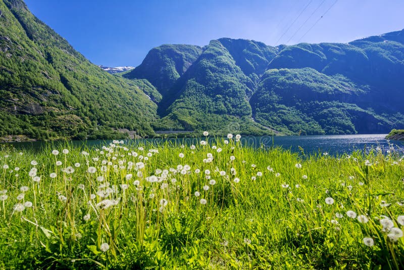 Fjord view stock image. Image of paradise, norwegian - 85990585