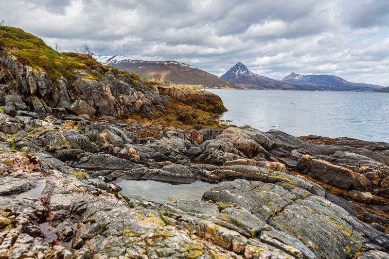 The Fjordbotn on Senja Island in Norway Stock Image - Image of outdoor ...