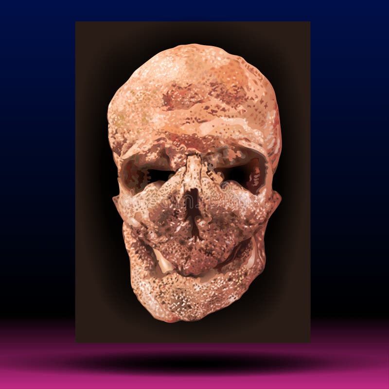 Skull - Human Anatomy - Healthcare - Science - Medical - Upper Jaw ...