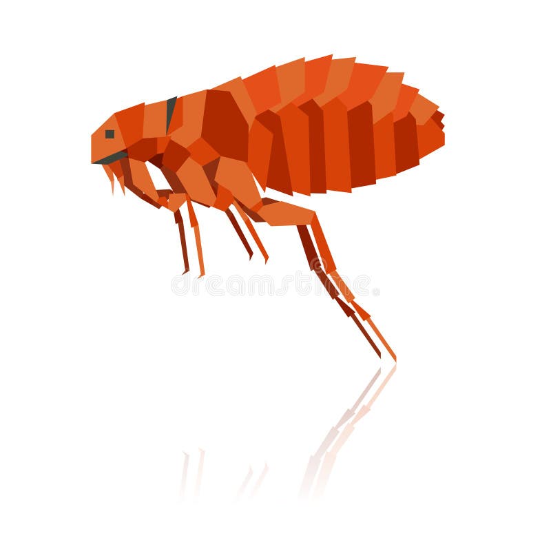 Karikatur-Floh vektor abbildung. Illustration von zeichnung - 60727071