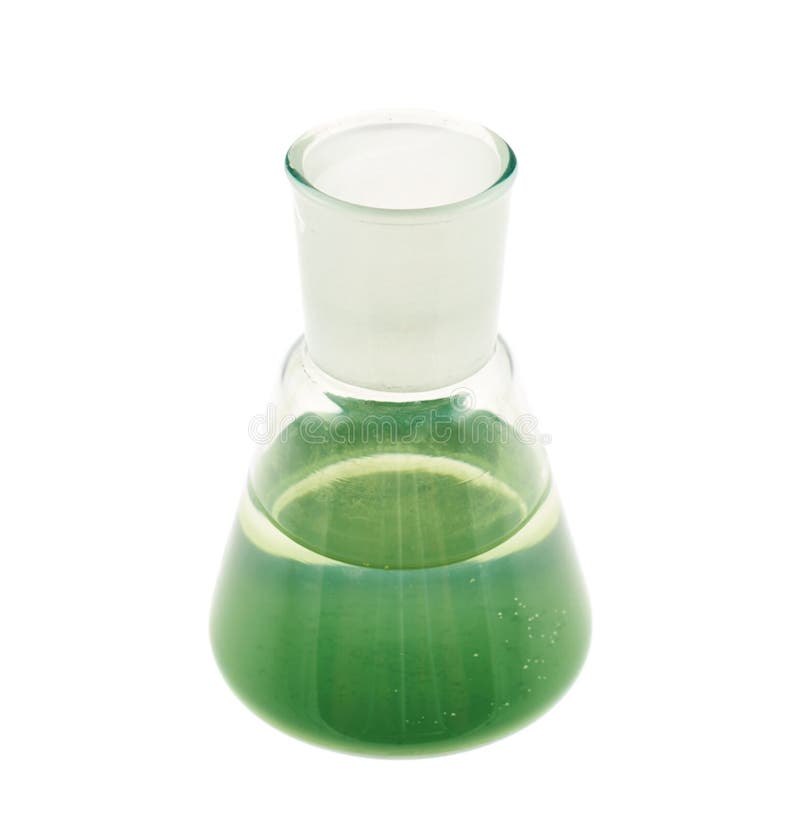 La Fiole Conique En Verre D'Erlenmeyer De Laboratoire A Rempli De ...