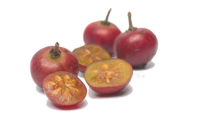 Flacourtia fruit Ramontchi stock photo. Image of flacourtiaceae - 119860666