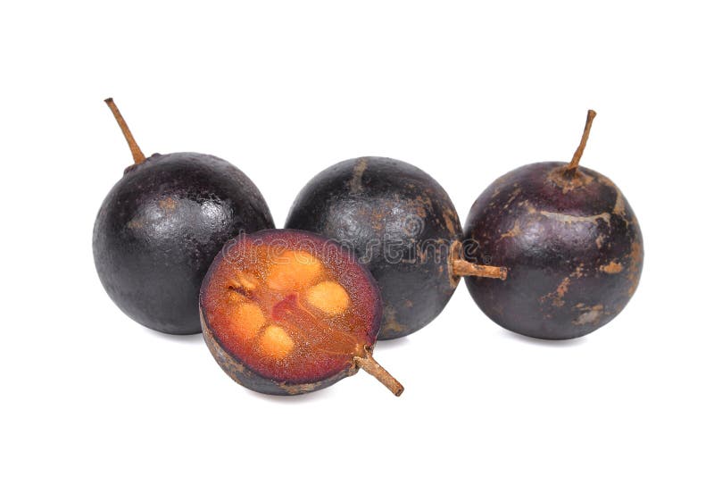 Flacourtia Indica , Ramontchi Tree Have Fruit Beautiful Stock Image ...