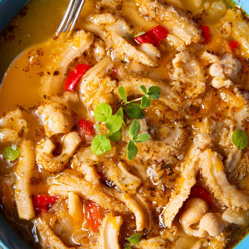 Flaczki - Fresh and Spicy Tripe Soup with Herbs Stock Image - Image of ...