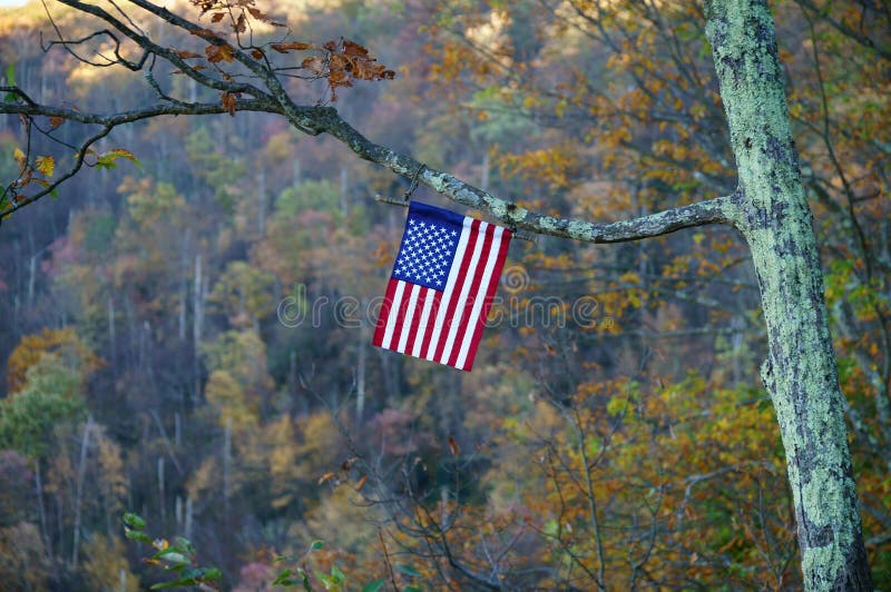 Flag. stock image. Image of stars, weather, america, yellow - 53215139