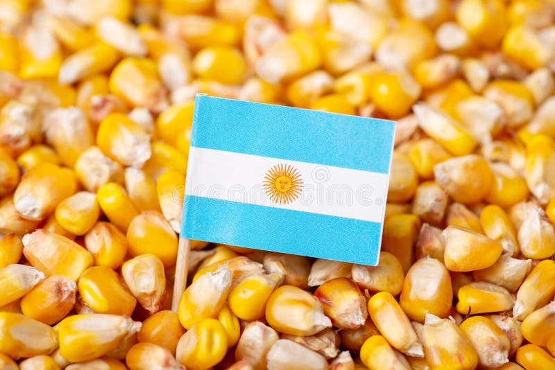 Flag and Map of Argentina on Cacao Grain Stock Image - Image of ...