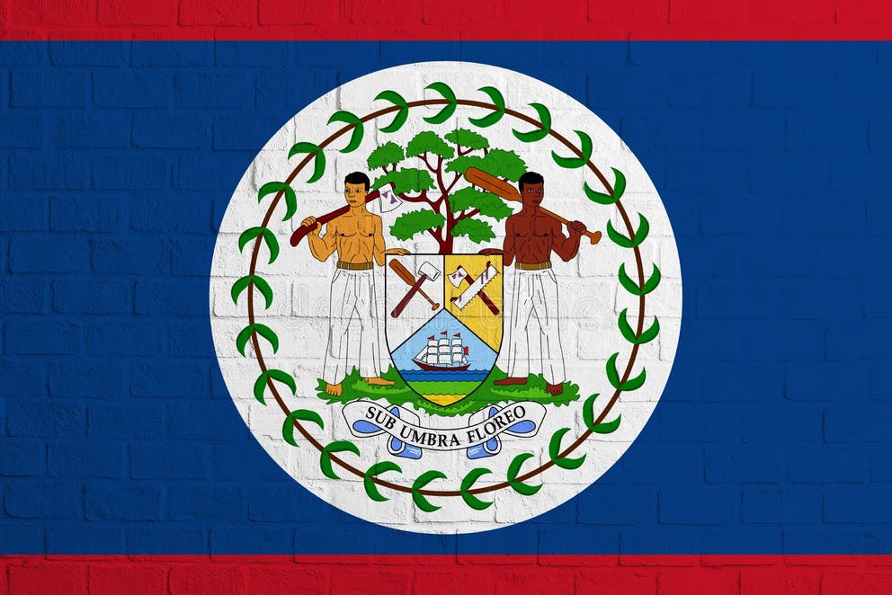 Flag of Belize. Brick Wall Texture of the Flag of Belize Stock Photo ...