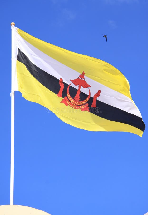 Flag of Brunei Darussalam stock photo. Image of flag - 23520982