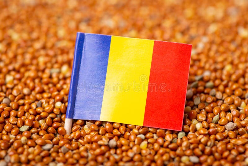 Flag of Chad on Millet Grain Stock Photo - Image of grow, flag: 261211586