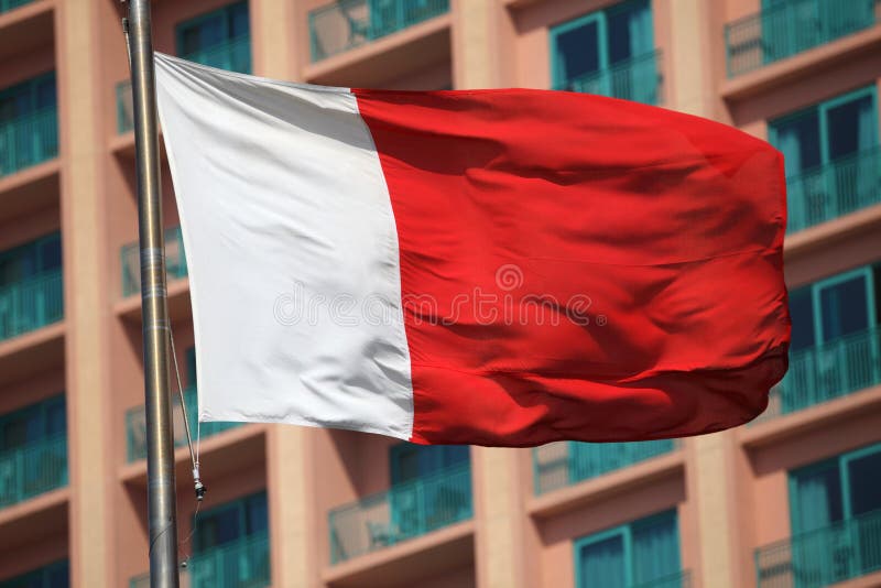 Flag of Dubai stock photo. Image of national, united - 20890970
