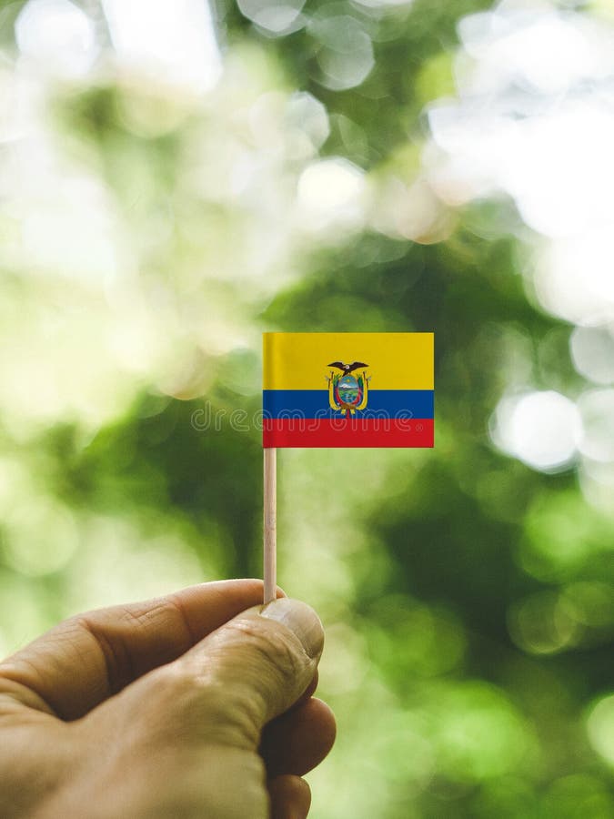 The Flag of the Ecuador Which is Held in Hand. Stock Image - Image of ...