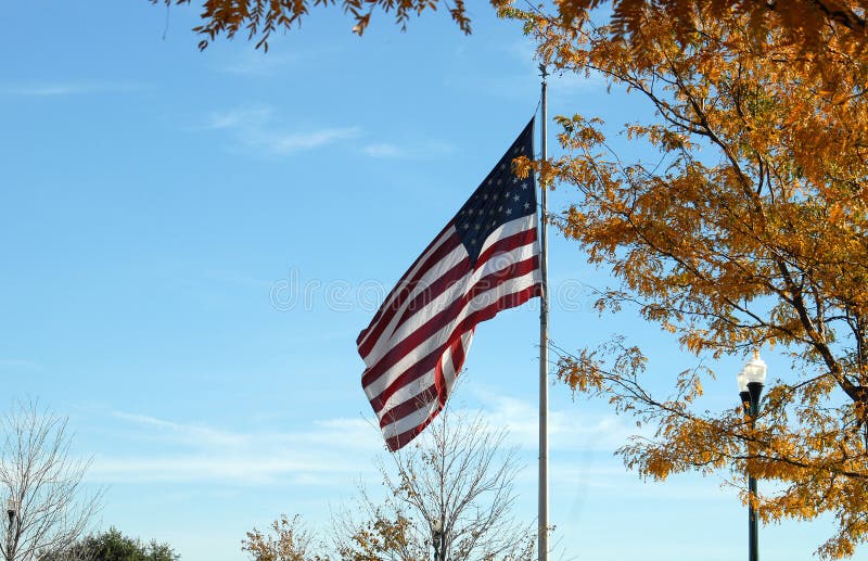 Flag In Fall Picture. Image: 1336093
