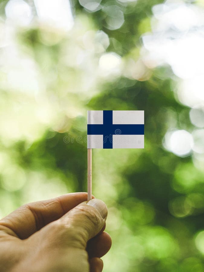 The Flag of the Finland Which is Held in Hand. Stock Image - Image of ...