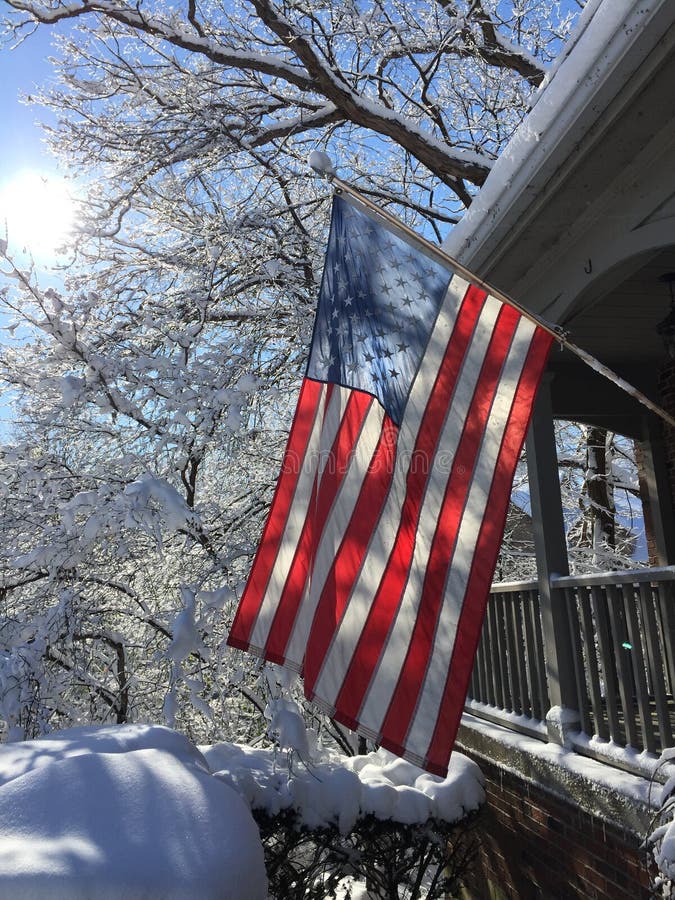 Flag at first snow. stock image. Image of colors, trees - 63224773