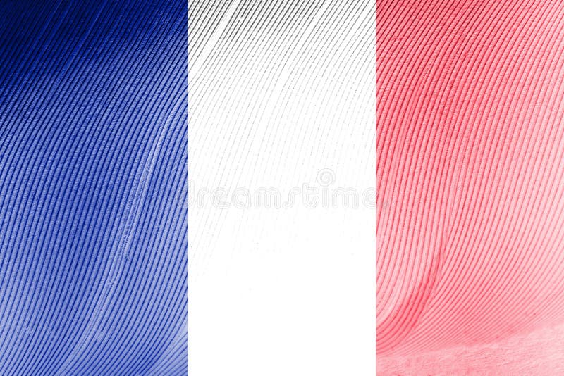 Flag of France with Texture. Template for Design Stock Image - Image of ...