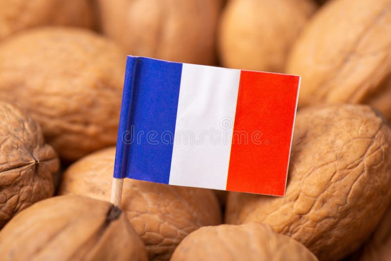 Flag of France on Hazelnuts Stock Image - Image of nuts, peeled: 269843153