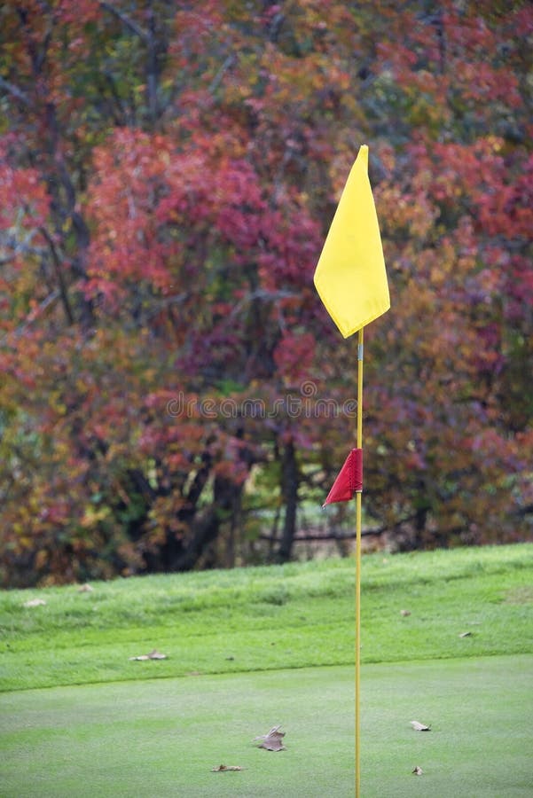 Golf Course and Pin Flag stock photo. Image of landscaped - 14895020