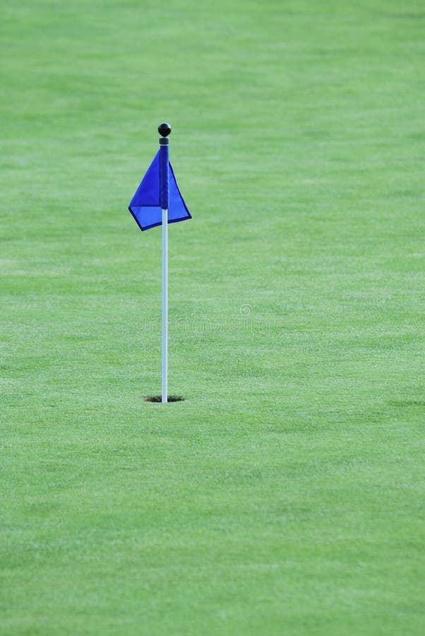 Flag on a golf green stock image. Image of field, outdoors - 10904541