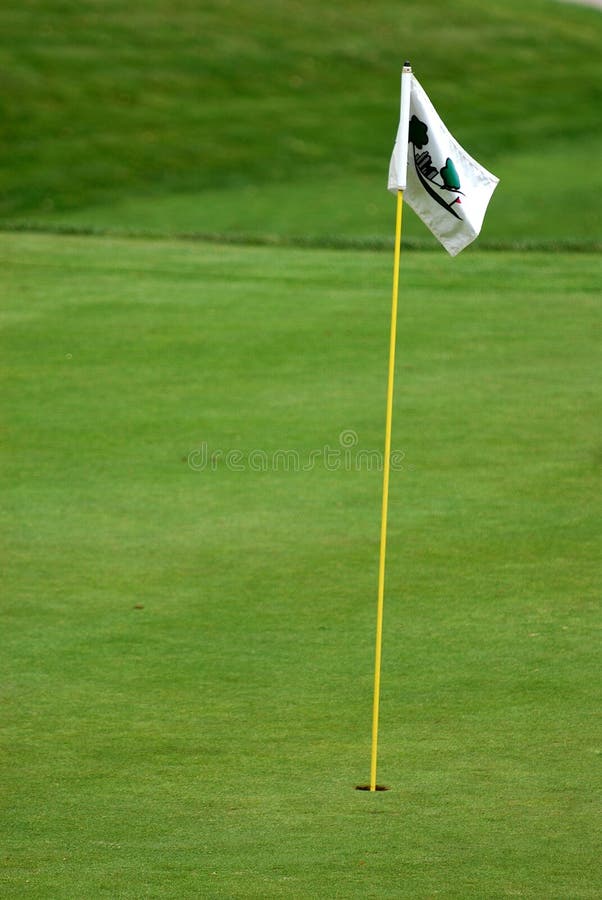 Flag on the Green at the Golf Stock Photo - Image of spring, pastime ...