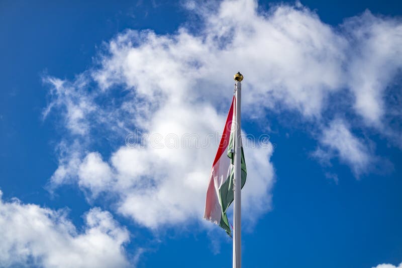 Flag of Hungary Waving in the Wind Stock Photo - Image of wavy, sign ...