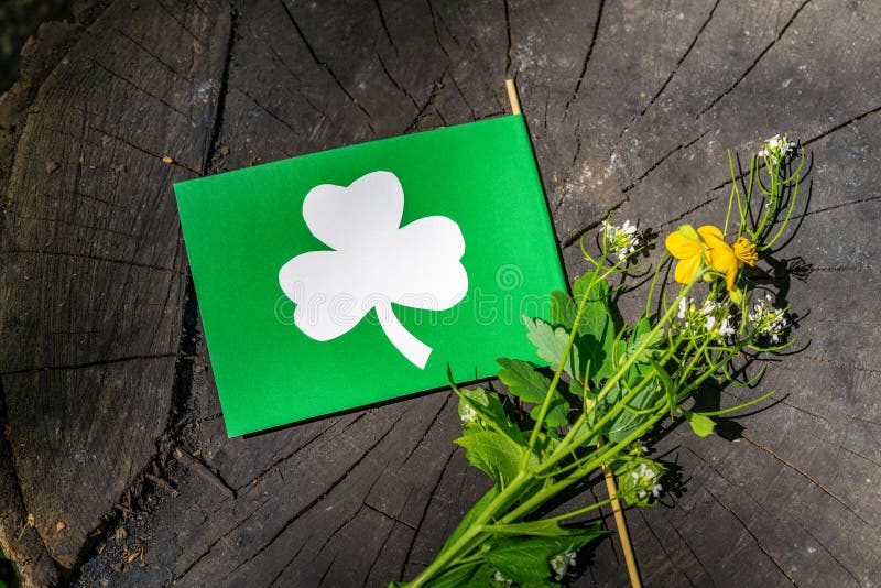 Flag with the Image of Clover Lies on a Stump in the Forest Stock Photo ...