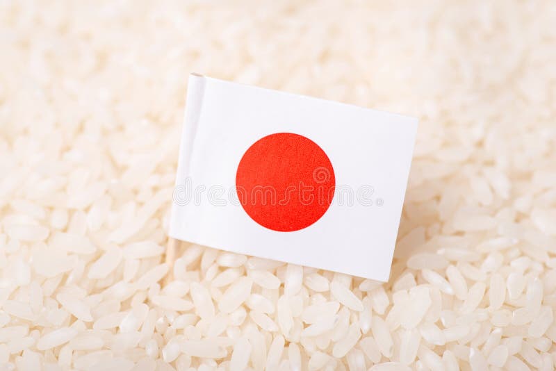 Flag of Japan in rice stock photo. Image of country - 261211708