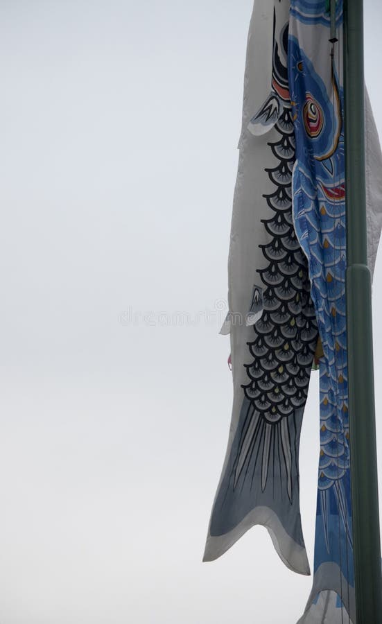 Flag of a Koi Fish in the Japanese Garden Stock Photo - Image of ...