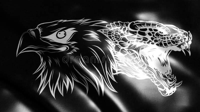 Flag in Loop of Eagle Fighting a Snake Serpent Stock Video - Video of ...