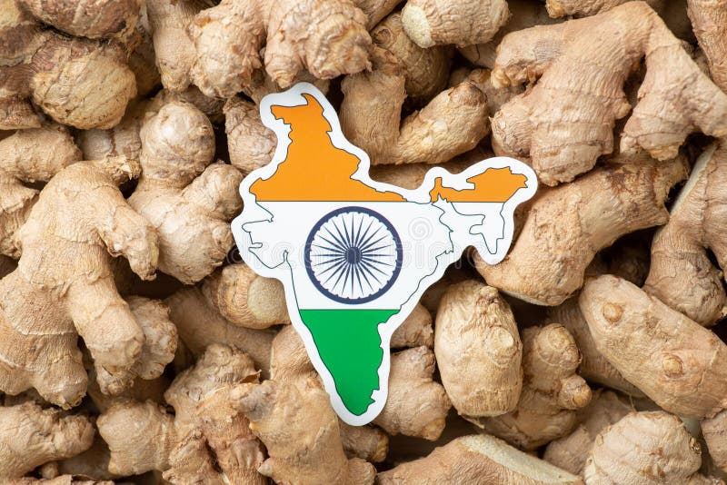 Flag and Map of India on Ginger Roots Background Stock Image - Image of ...