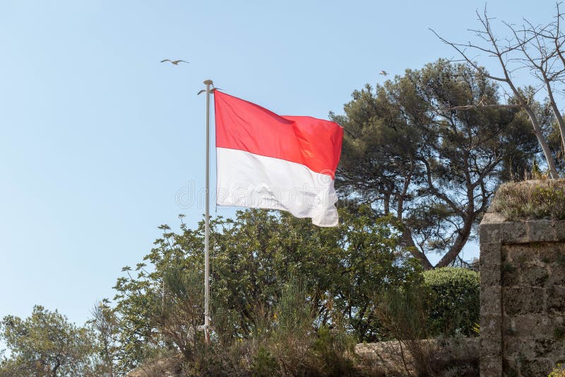 The Flag of Monaco editorial photography. Image of country - 278202917