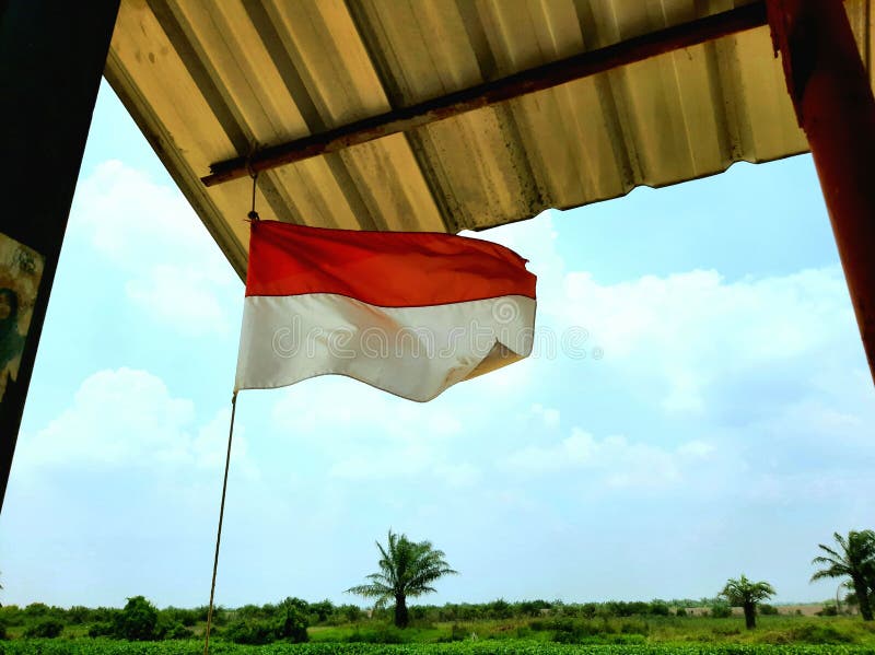 This is the Flag of My Country. so Beautiful Indonesia Stock Photo ...