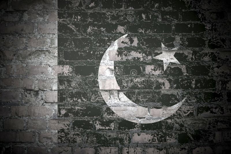 Pakistan Flag Wall Stock Illustrations – 227 Pakistan Flag Wall Stock ...
