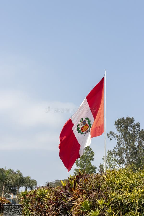 Flag of Peru Next To Blue Sky Stock Photo - Image of park, grass: 126006232
