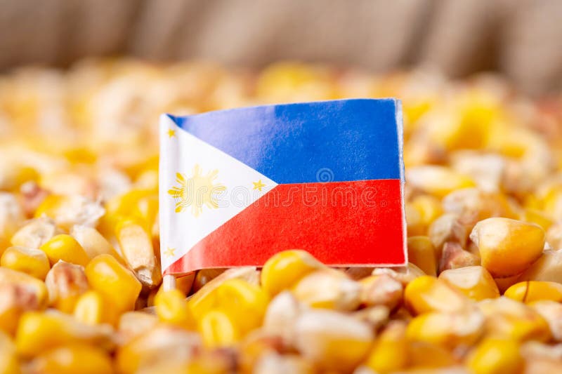 Flag of Philippines on Corn Grain Stock Image - Image of trade, country ...