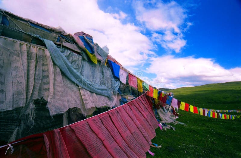 Flag on the plateau stock photo. Image of nature, xizang - 7116502