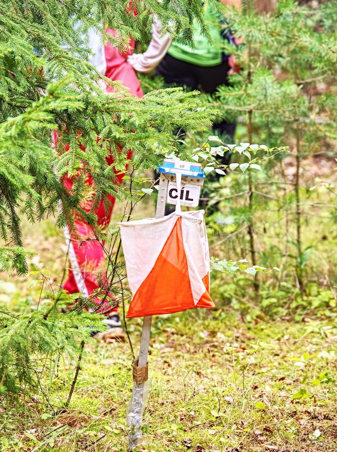 Flag Route Marker on the Orienteering Race Track Stock Photo - Image of ...