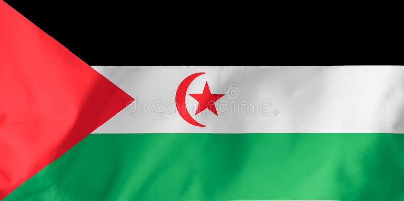 Flag of the Saharan Arab Democratic Republic. Stock Image - Image of ...