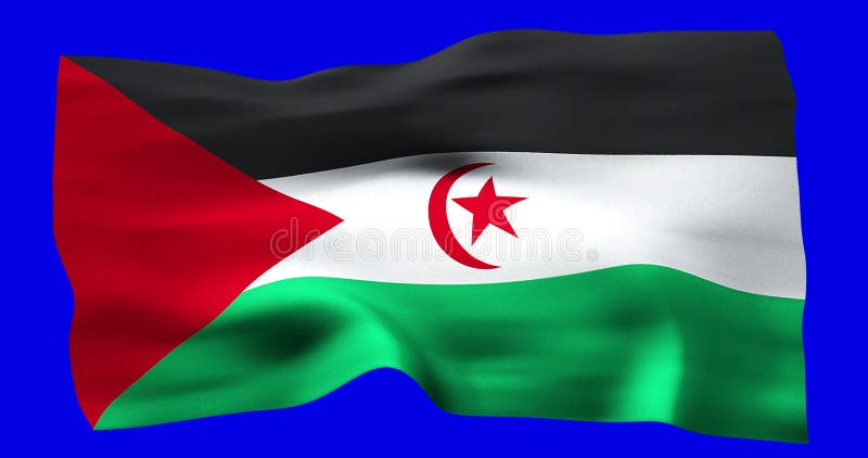 Flag Of Arab League Realistic Waving On Green Screen Seamless Loop