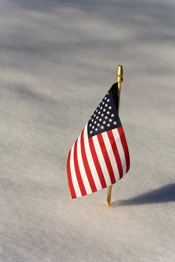 Flag in snow stock image. Image of winter, white, cold - 39020895
