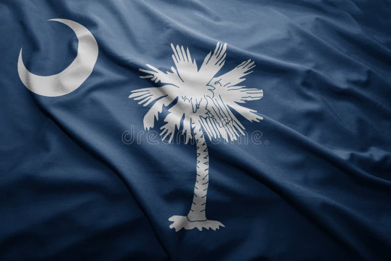 Flag of South Carolina State Stock Image - Image of fame, honor: 98525577