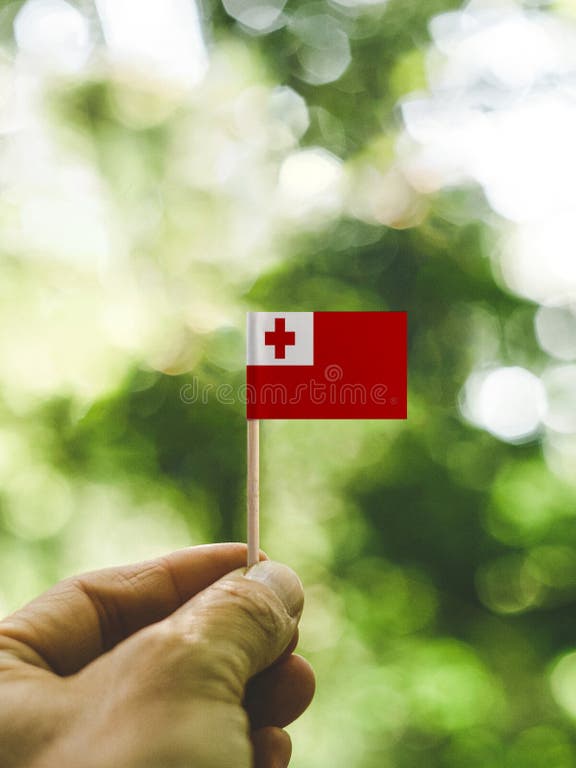 The Flag of the Tonga Which is Held in Hand. Stock Image - Image of ...