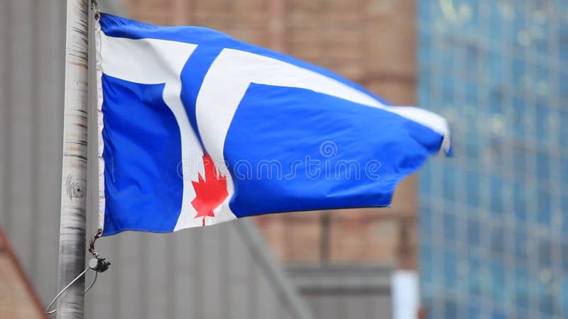 Flag of Toronto, Canada stock video. Video of blue, ensign - 102727077