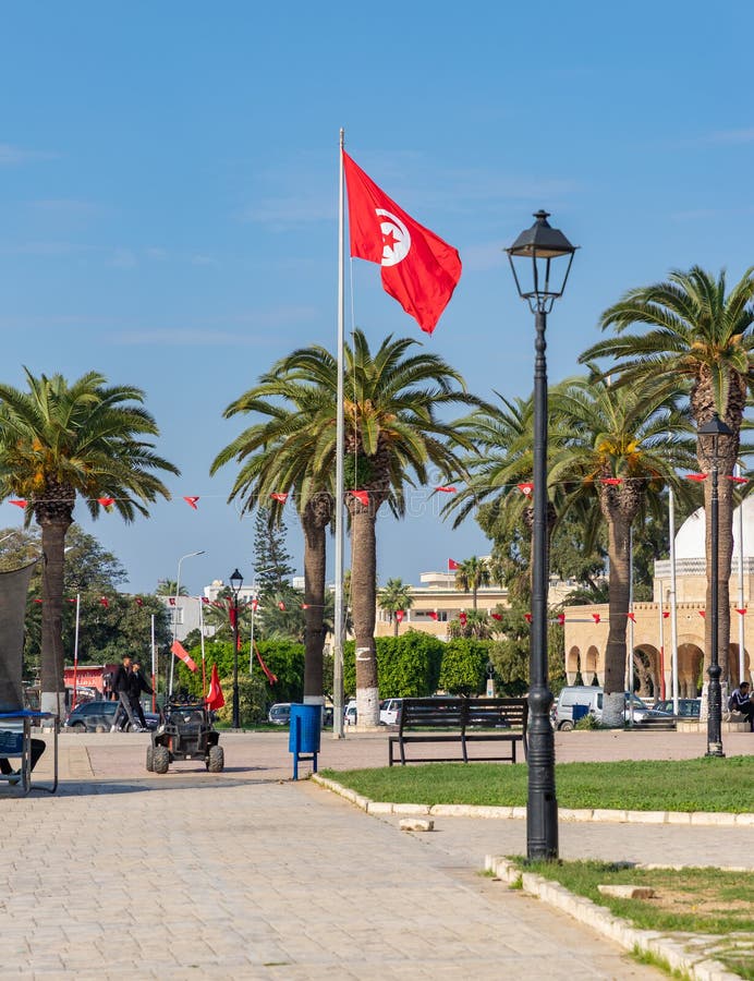 Flag of Tunisia on Styrofoam Texture Stock Photo - Image of polystyrene ...