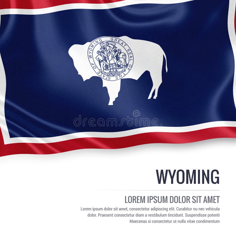 Waving Flag Of The State Of Wyoming Stock Vector - Illustration of ...