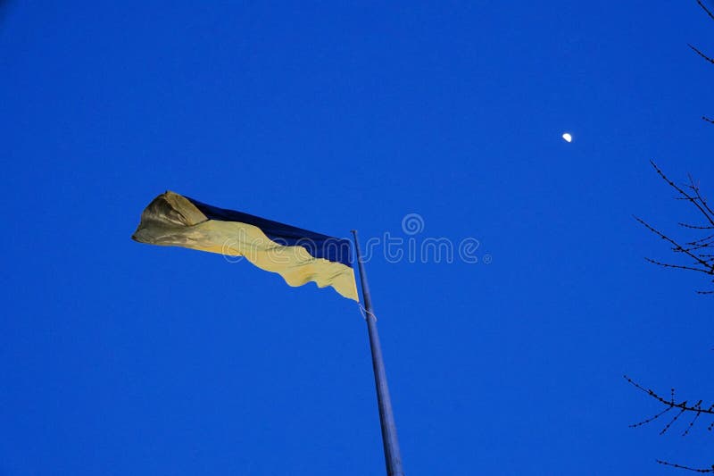 The Flag of Ukraine Fluttering in the Wind at Dusk Stock Photo - Image ...