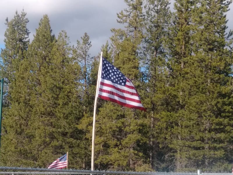 Flag stock photo. Image of states, trees, flag, scenery - 117915468